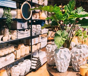 Robina Home & Life | Centuria Retail